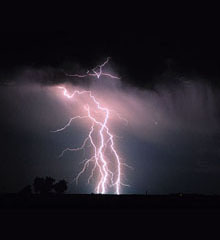 PC's 'N More's Computer Care - Lightning Damage Assessment Page